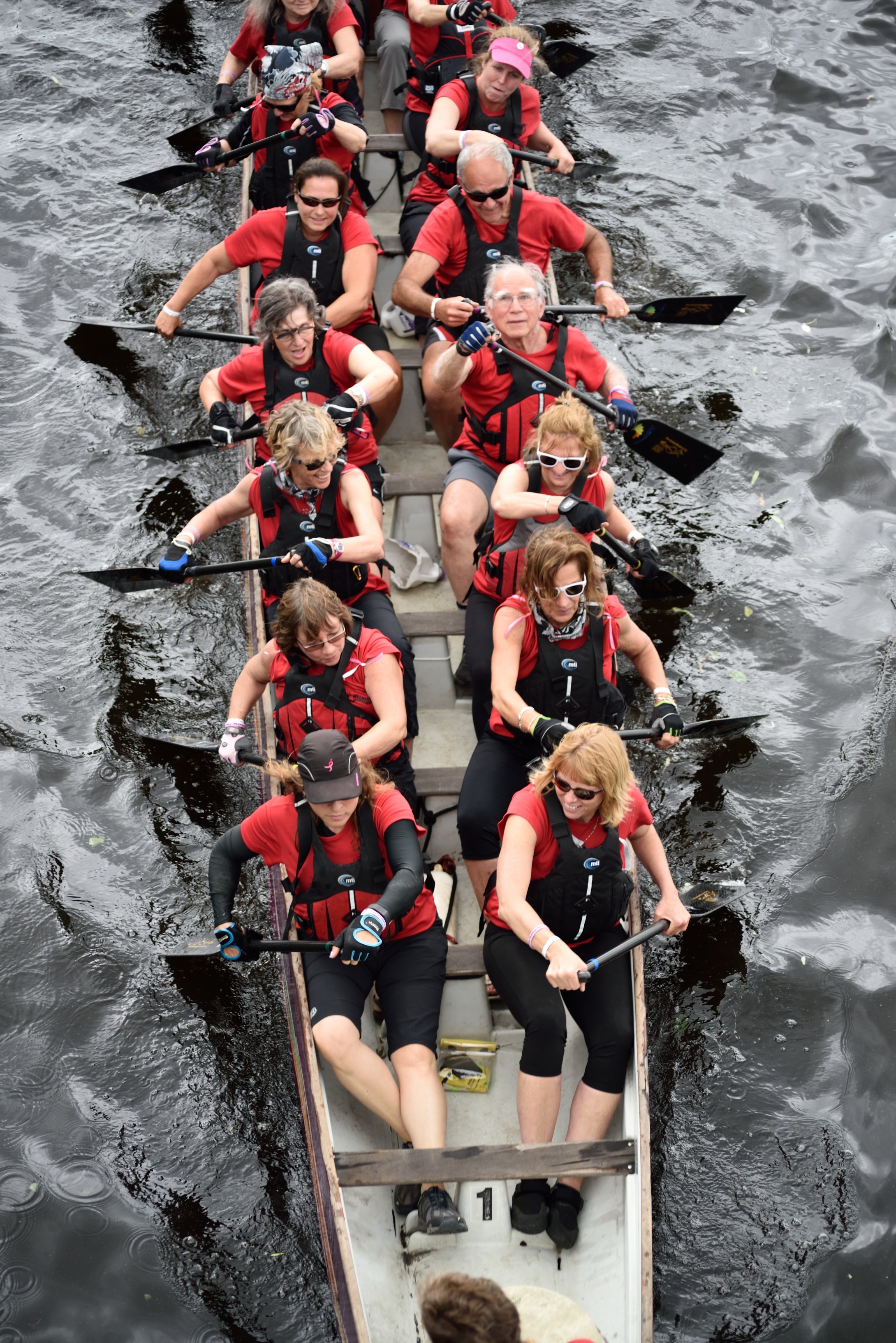 Wellness Warriors from above - Wellness Warriors